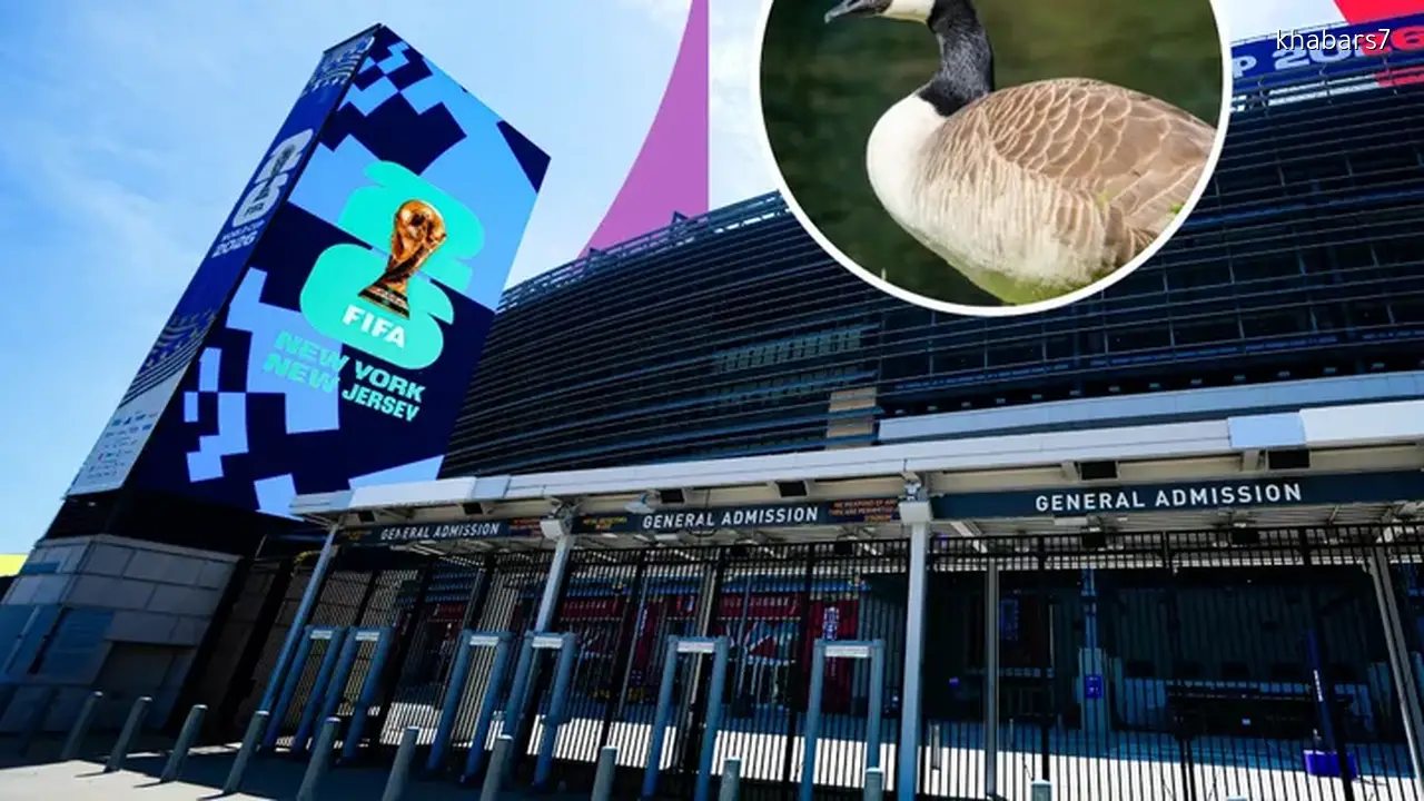 Activists Protest Goose Euthanasia at World Cup 2026 Event in New ...
